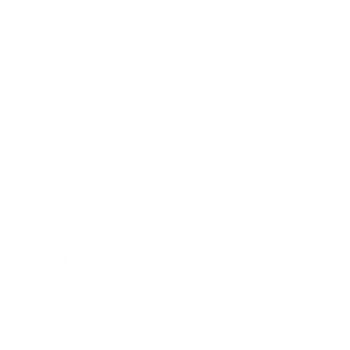 Stadionplattegrond De Kuip – Indeling tribunes, vakken en ingangen